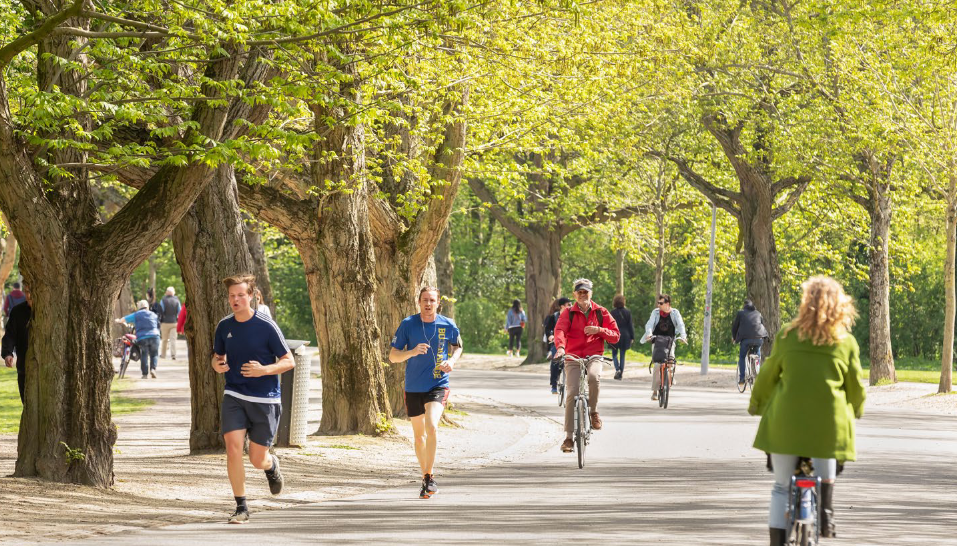 Interview Rob Gaveel: ‘Om mee te denken moet je elkaar eerst leren ...