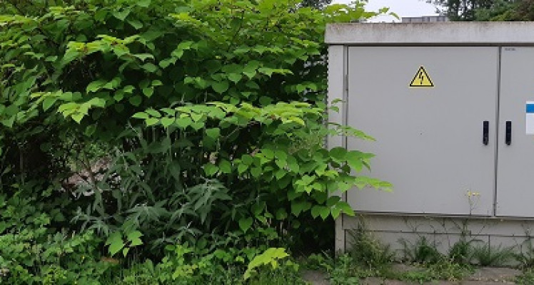 Terugblik: Line of Sight | CROW Essit